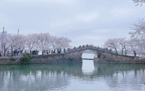 Top 10 Cherry Blossom Spots in China– A Complete Travel Guide